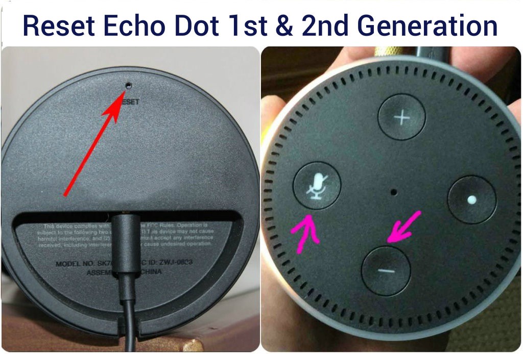How To Reset Alexa Echo Dot FeedsFloor